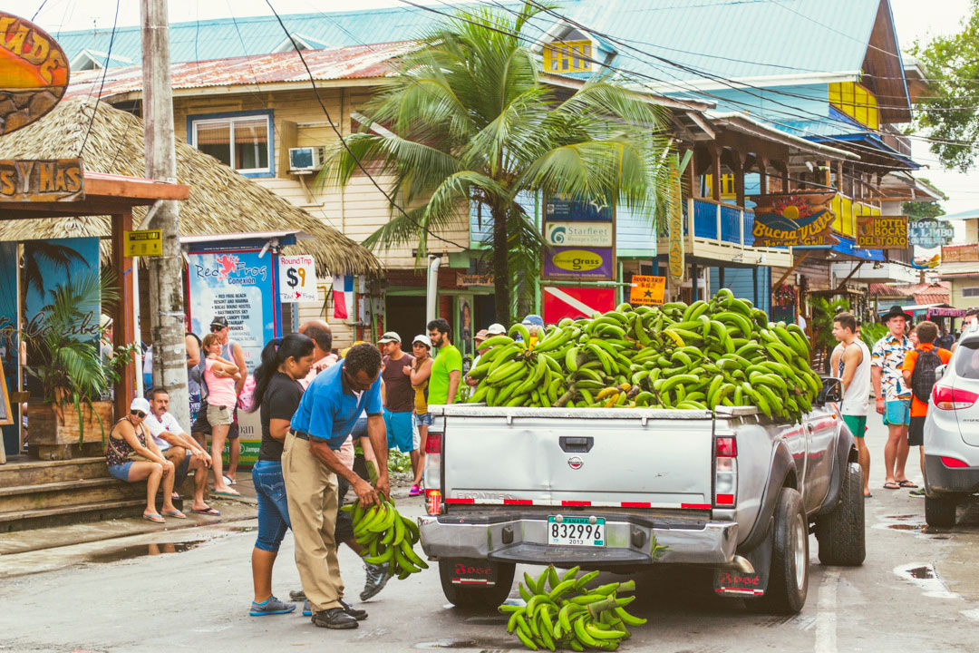 Island Plantation Resort - Location | Island Plantation - Bocas del ...